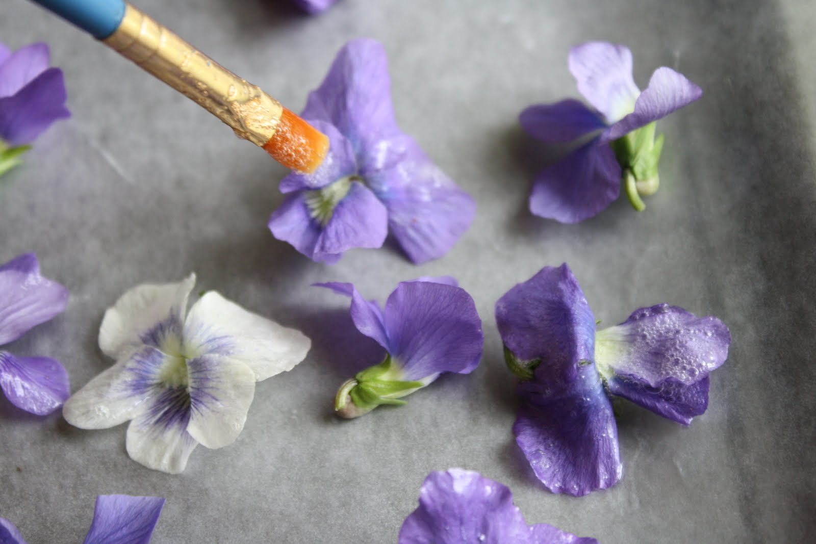 What's Cooking in your World?: Day 130.5 Candied Violets and Violet ...