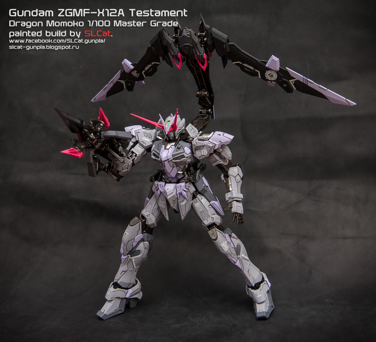 SLCat Gunpla Blog: DM 1/100 MG Testament Gundam