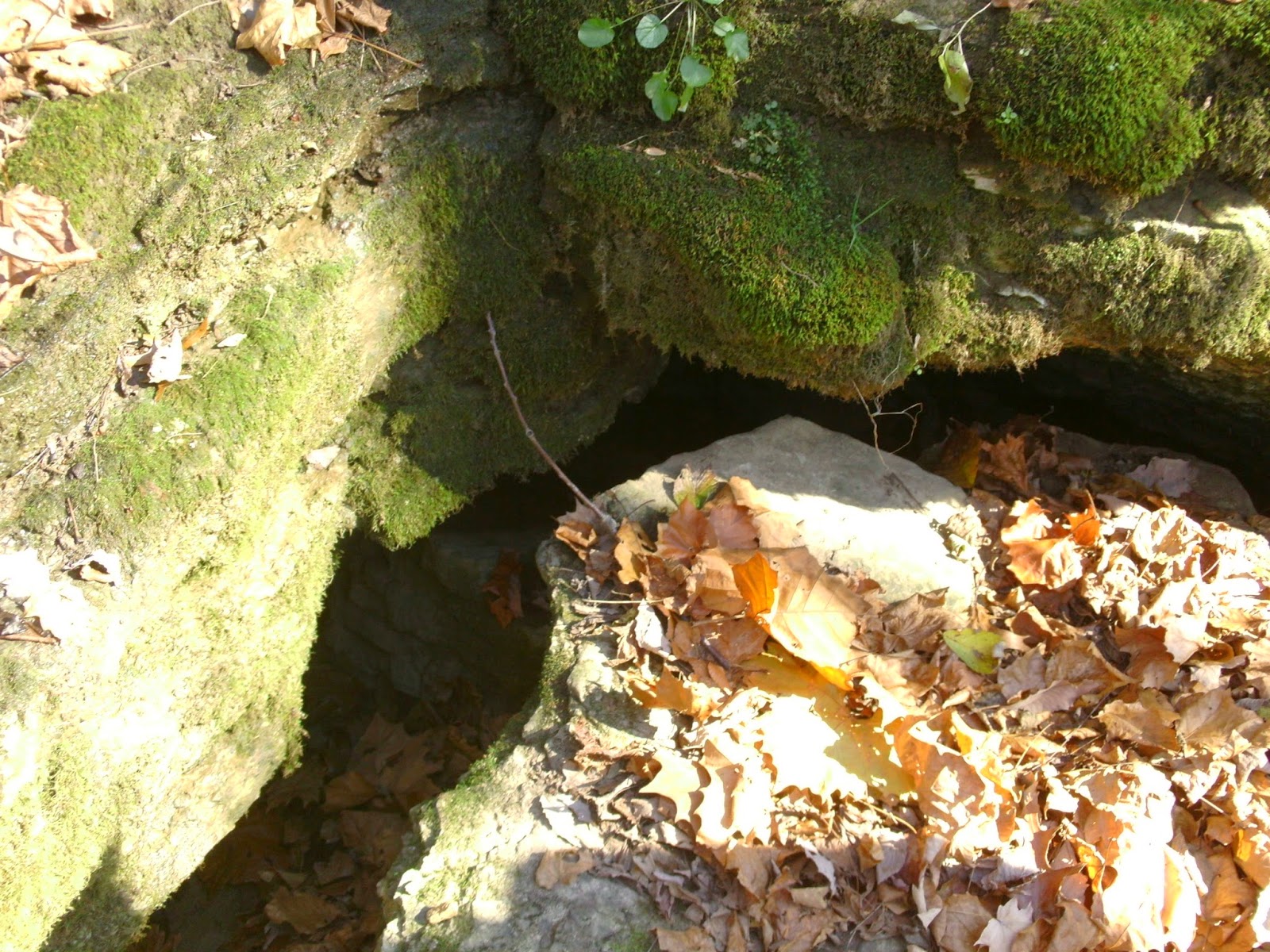 PORTER & LOST BOY CAVE - ADAM HAYDOCK