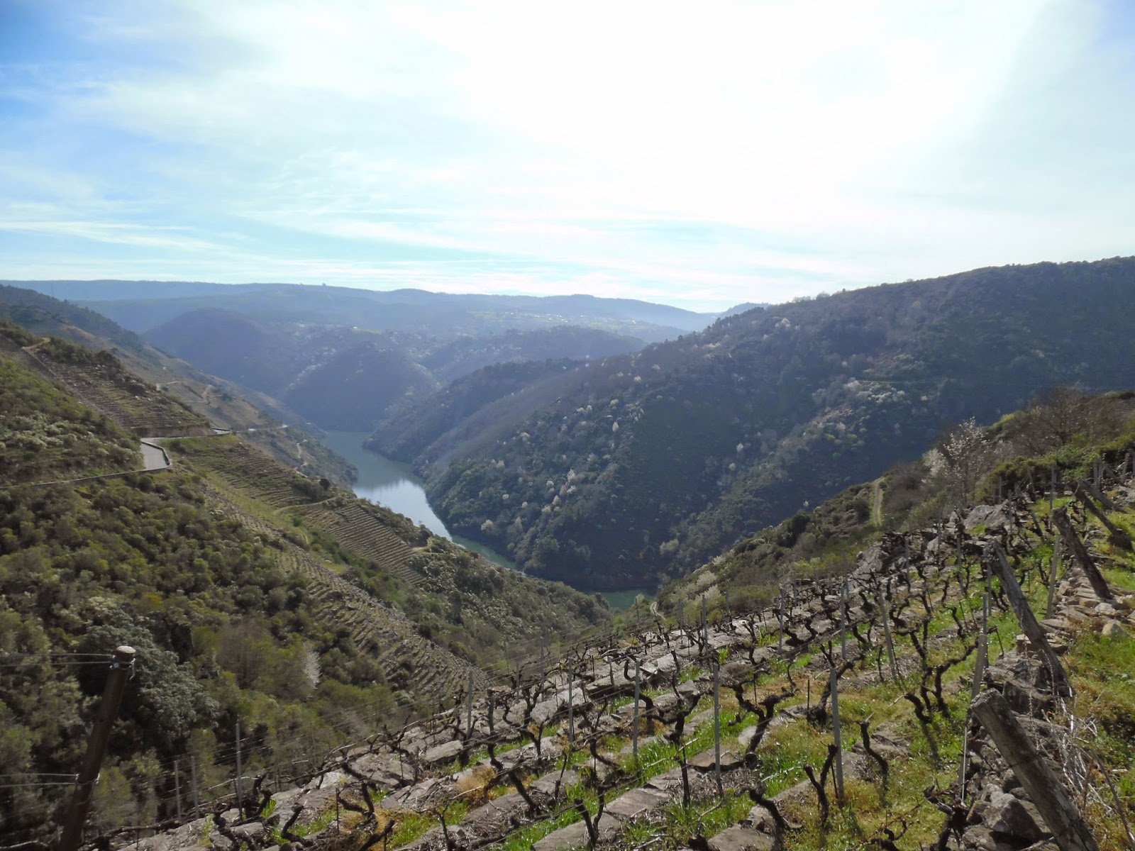 Los viajes de Rapunzel: Relax... Cañón do Sil (LUGO)