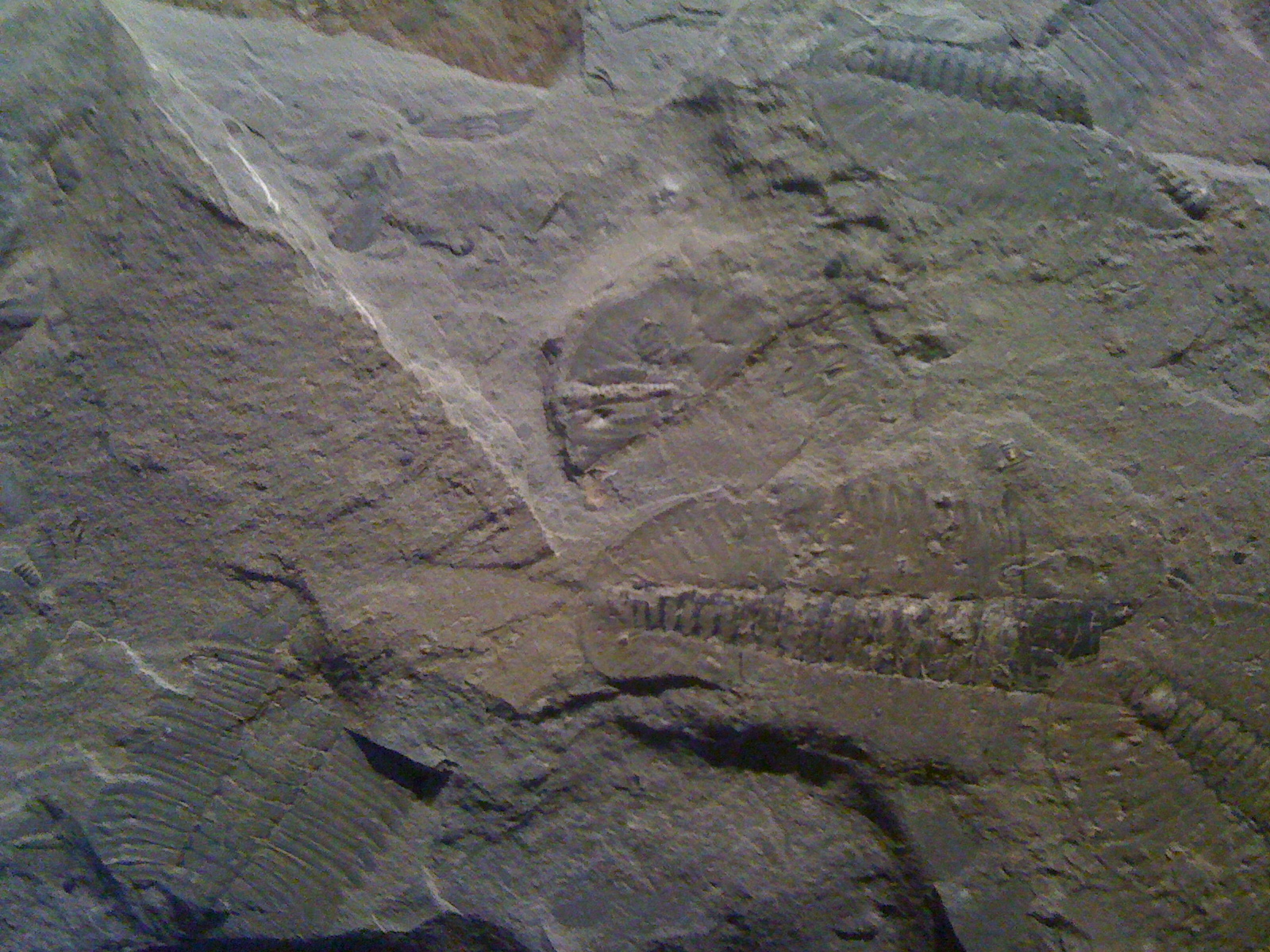 MDK10 Outside: Pictures of Textures