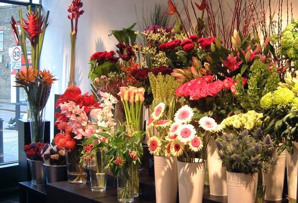 Best Flowers In The World: Best Flower Shop