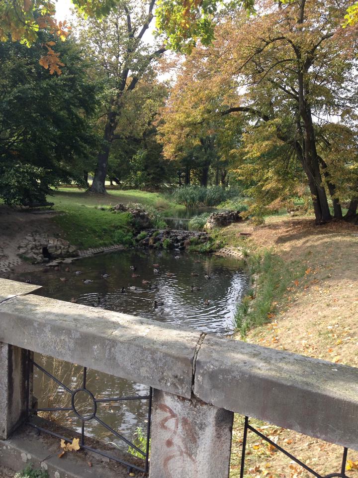 SCHLOSS NEUDECK ******** PAŁAC W ŚWIERKLAŃCU ******** UTRACONY SKARB ...