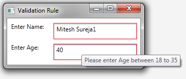 Mitesh Sureja's Blog: Validation Rules in WPF