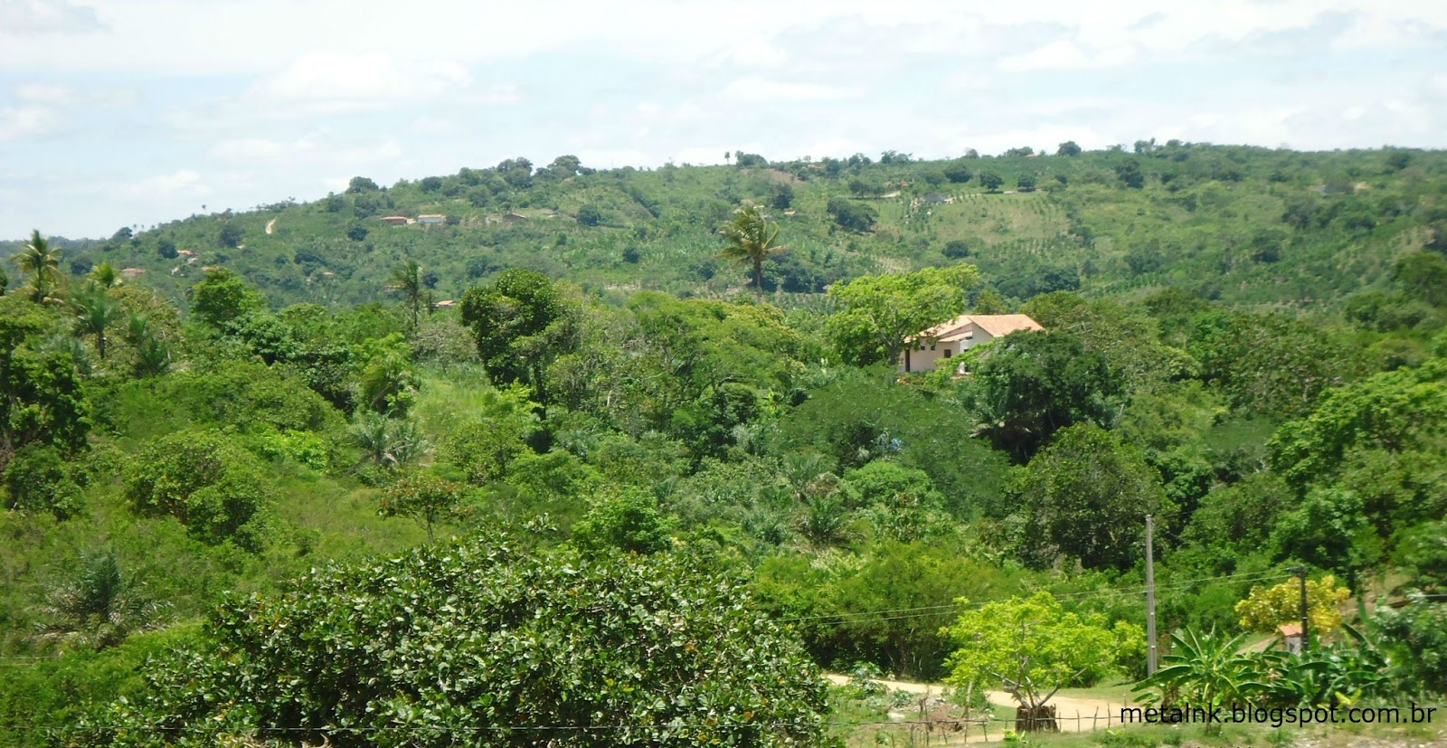 MetaLink : Percepção Ecológica do Meio Rural
