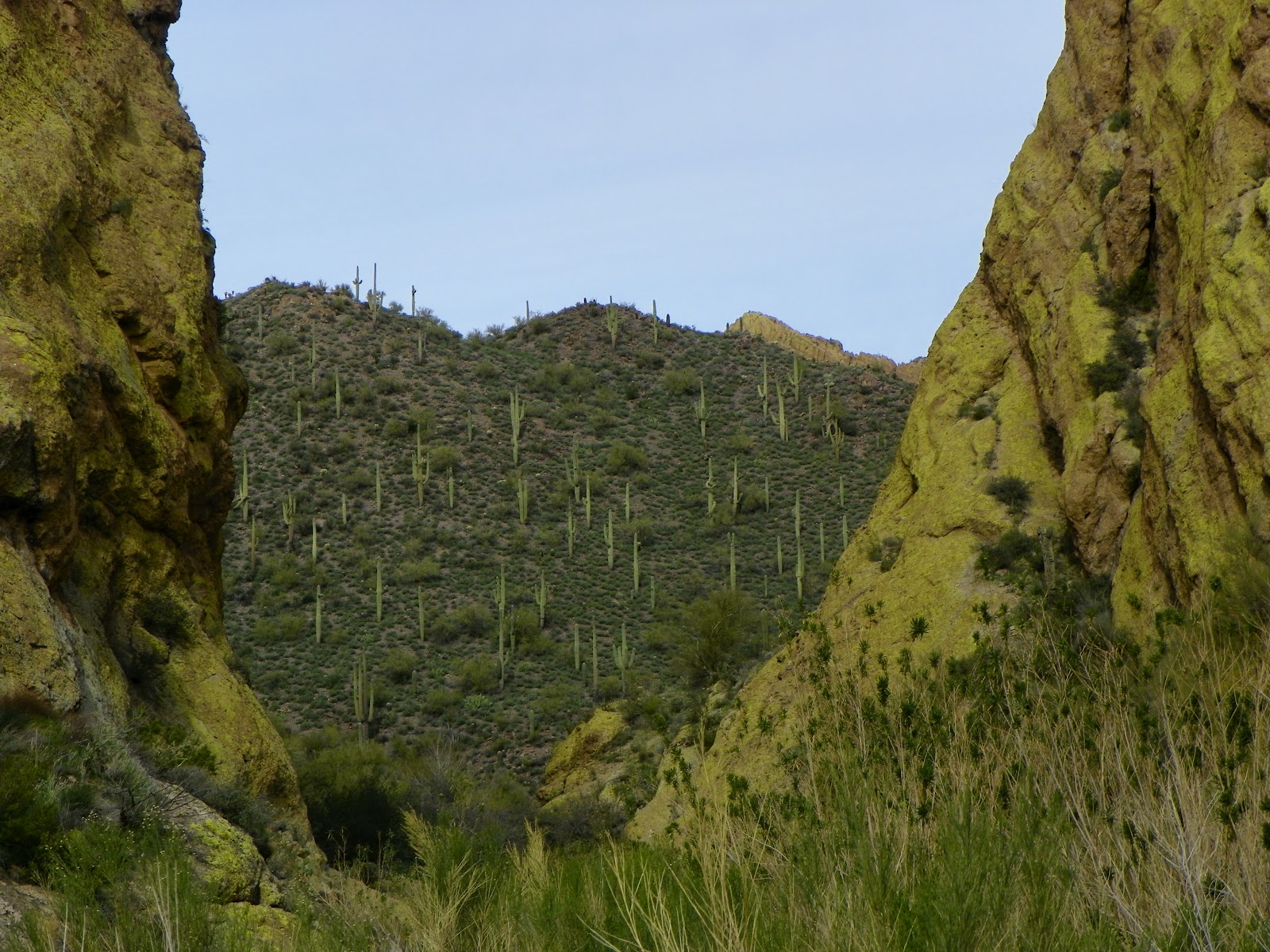 ON THE ROAD: Rock Shadows RV Park-Apache Junction,AZ