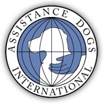 My Border Collie, Rowena: Trials & Tribulations of a Psychiatric ...