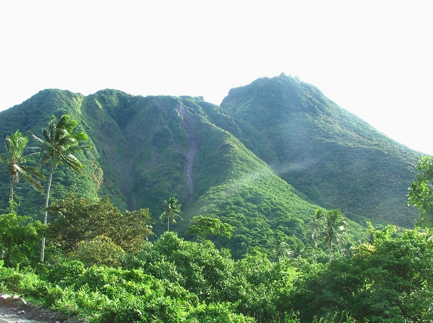 Camiguin Island Tripper