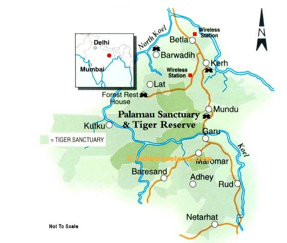 chasing the horizon..: palamau tiger reserve