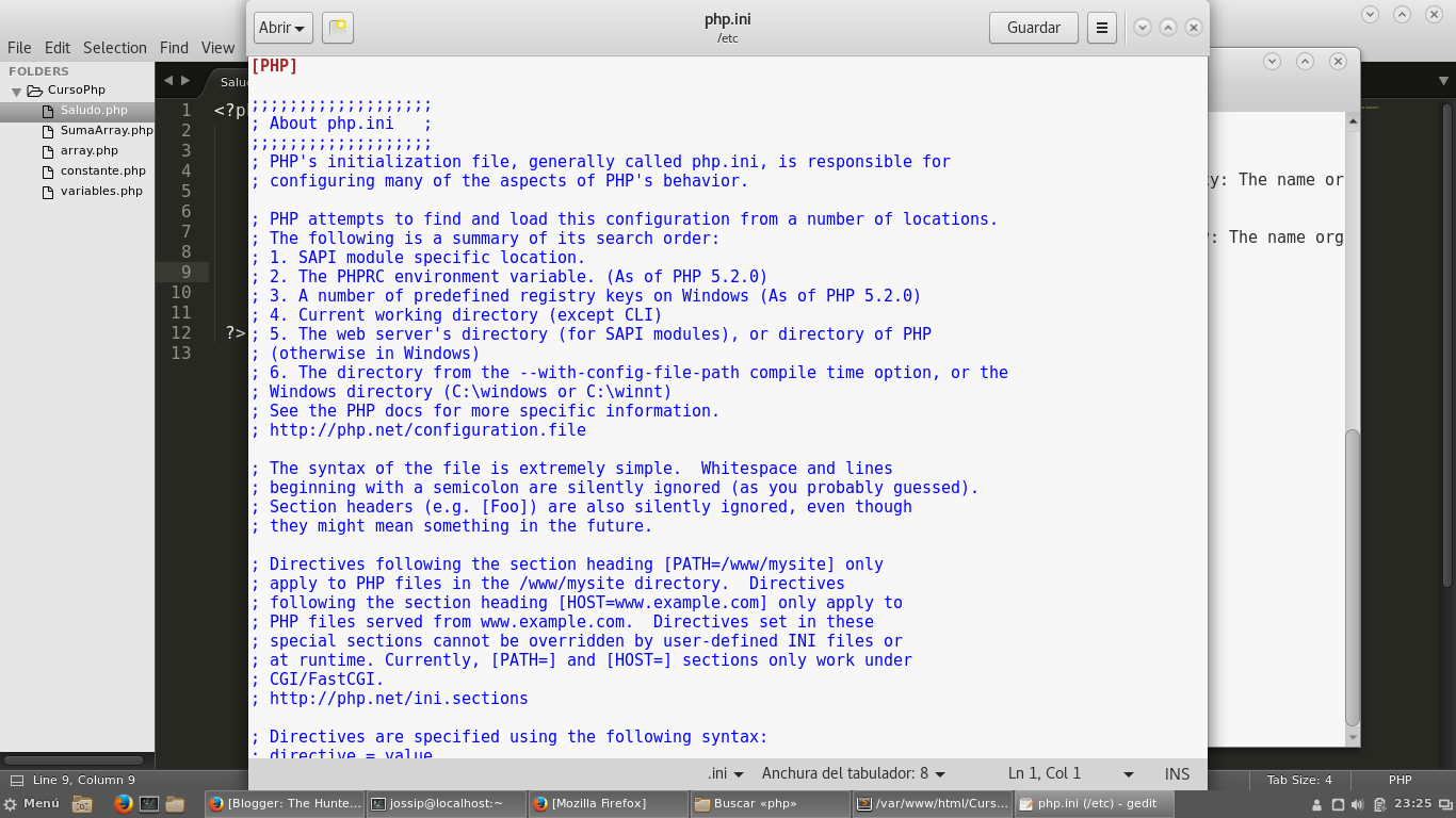The Hunter: Mostrar Errores en Php. GNU/LINUX