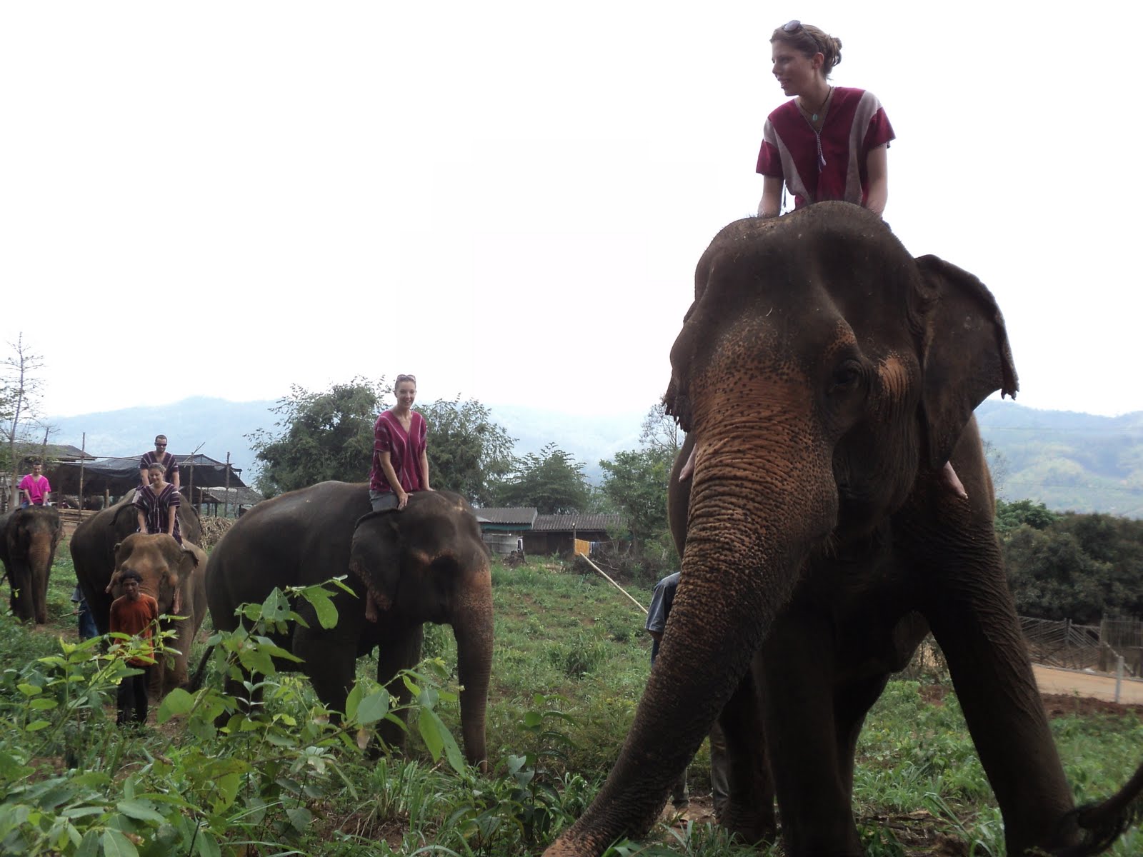 Emi & Fab around the world: Elephants Training