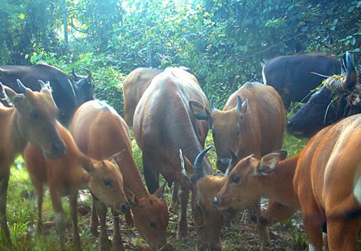 NephiCode: Were There Two Landing Sites for the Mulekites? Part IV