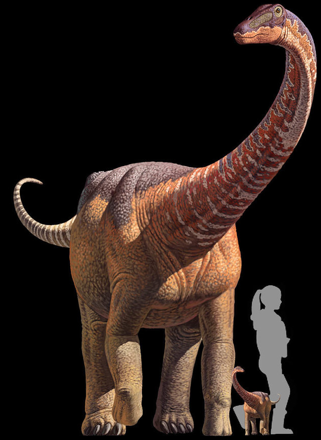 Species New to Science: [Paleontology • 2016] A Tiny Titanosaur ...