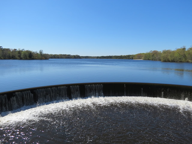 Gone Hikin': Parvin State Park, NJ