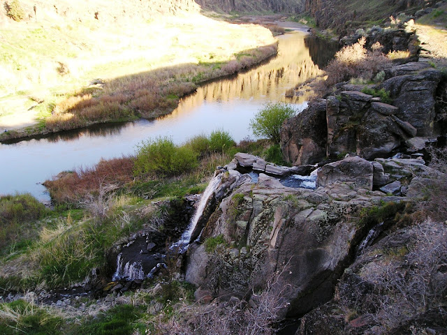 Birding Is Fun!: Three Forks of the Owyhee River