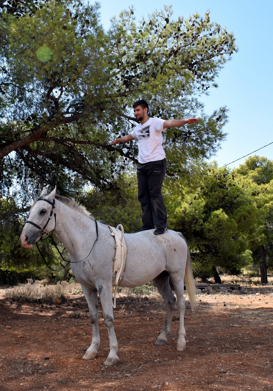 ΕΛΛΗΝΙΚΗ ΕΦΙΠΠΗ ΤΟΞΟΒΟΛΙΑ