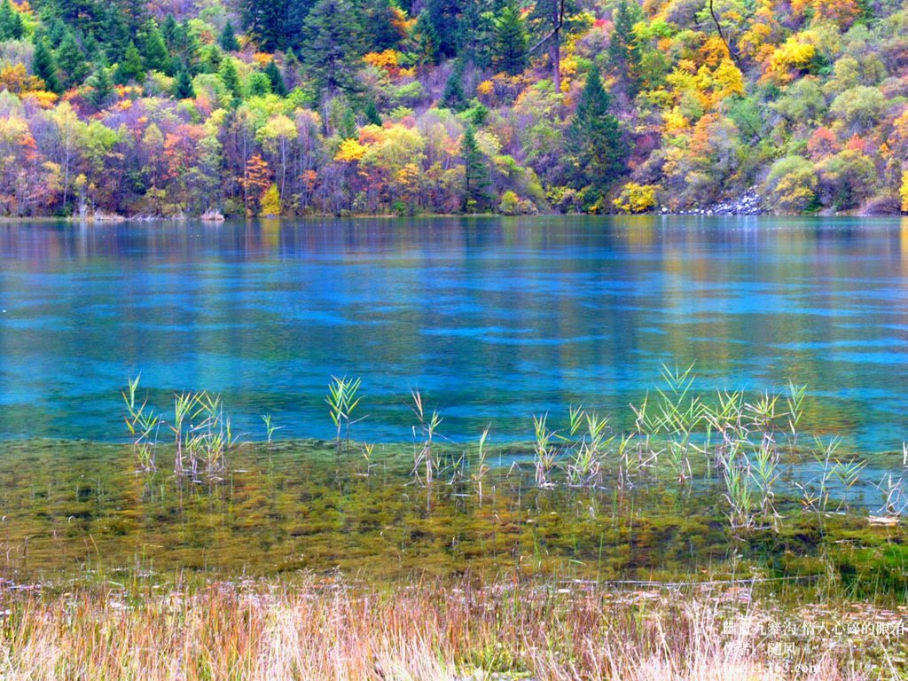 Imágenes Paisajes Magicos