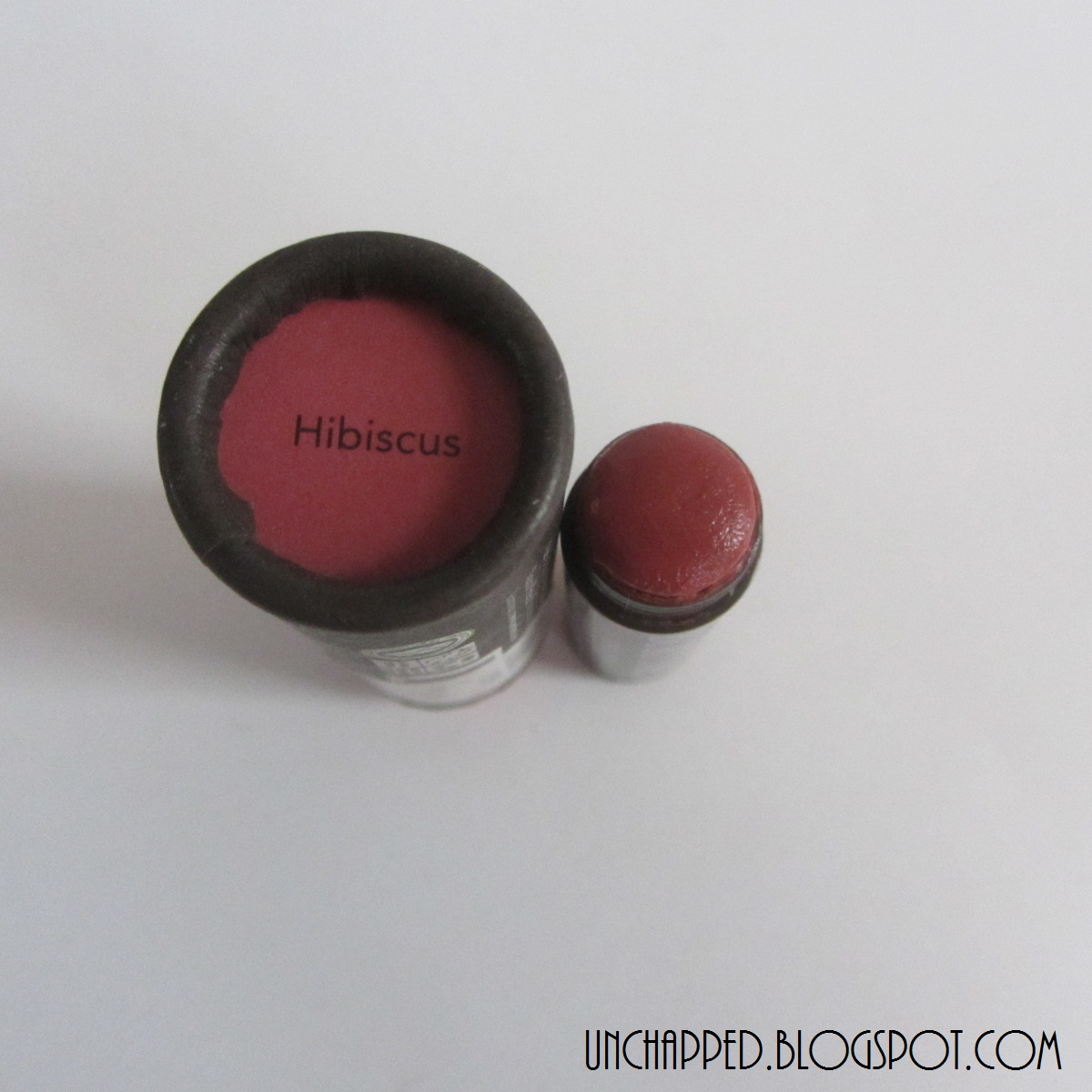 Unchapped- Lip Balm Reviews: Burt's Bees Tinted Lip Balm Review ...