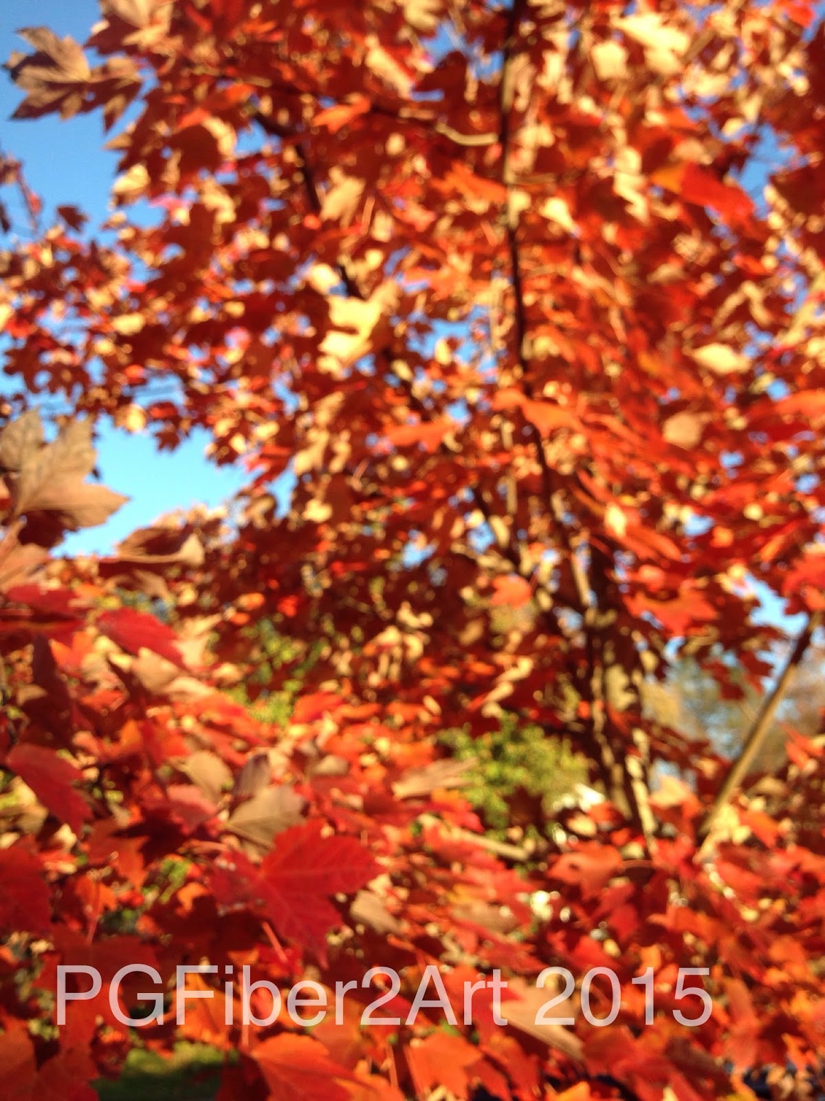 PG Fiber2Art: Pounded Leaf Prints