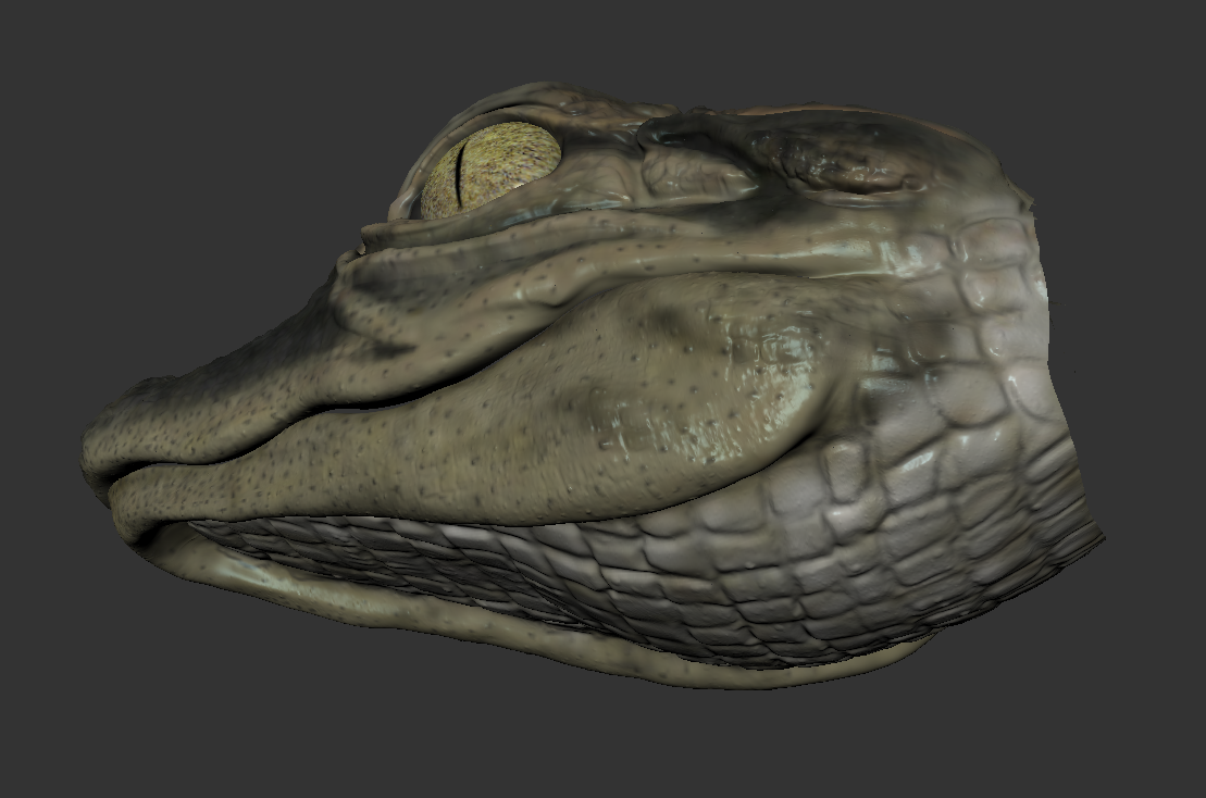 Robert Garcia 2D and 3D Art: Baby Alligator Head