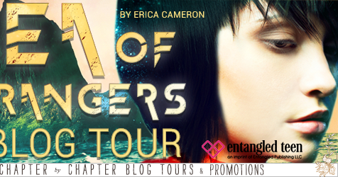 strictly literary: sea of strangers by erica cameron