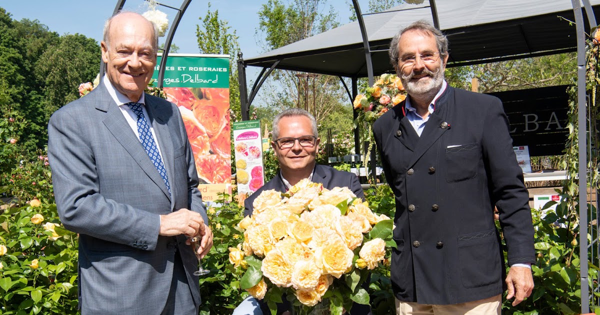 Les 2 nouvelles roses création Georges Delbard de 2018 - Les Carnets de ...
