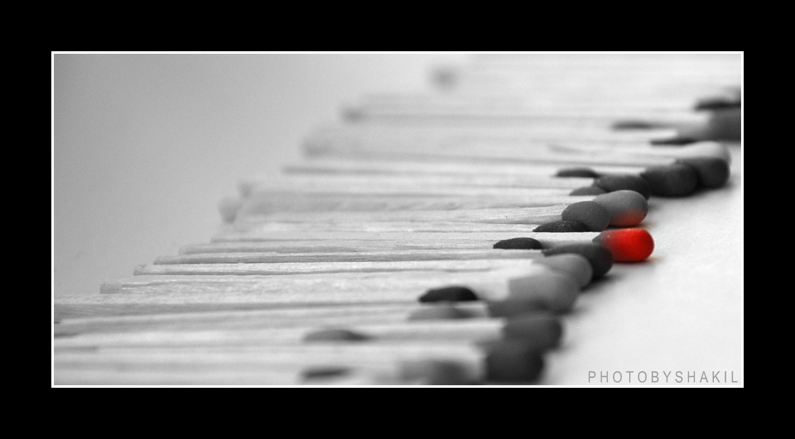 MATCHBOXES AND LABELS COLLECTION: Photography