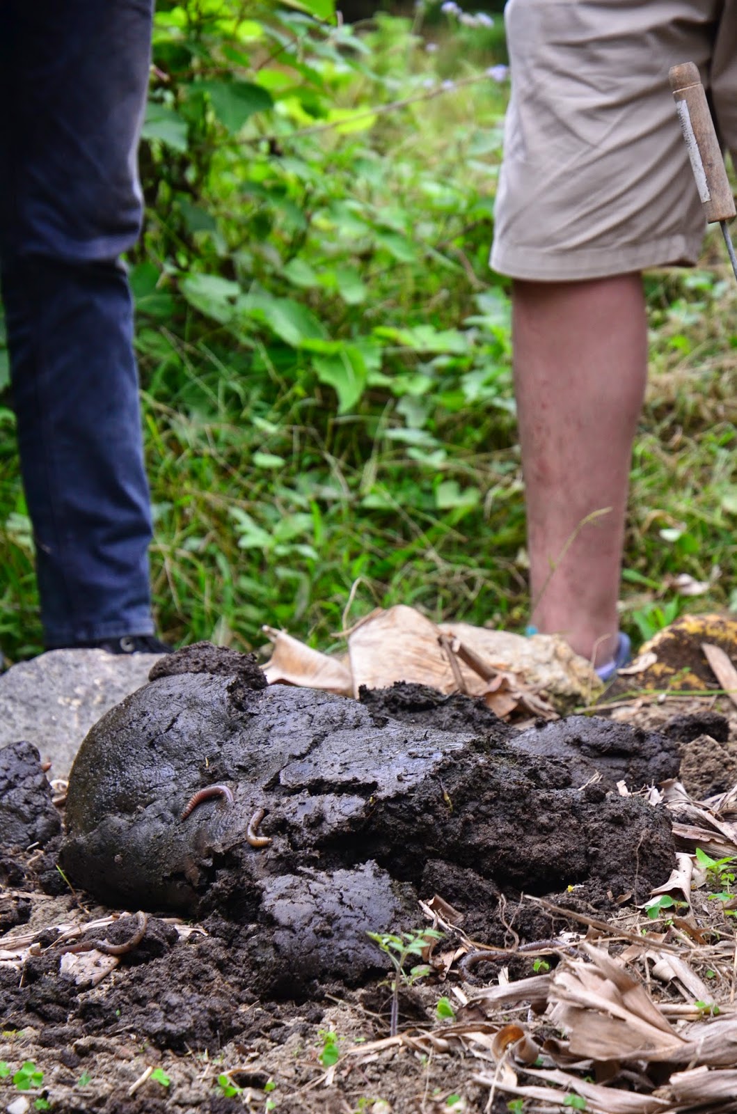 My (Rebecca's) IB CAS Blog : Ark Eden Overnight Camp