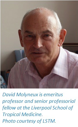 Foresight SIGNALS: Signals: Biofuels, Ebola, Digital Natives, Urban Design