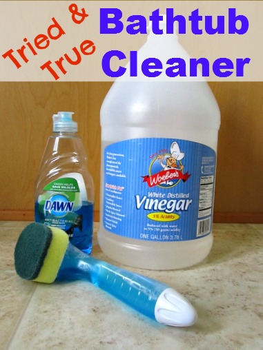 Bathtub Cleaner {Dawn and Vinegar SUCCESS} - This Simple Home