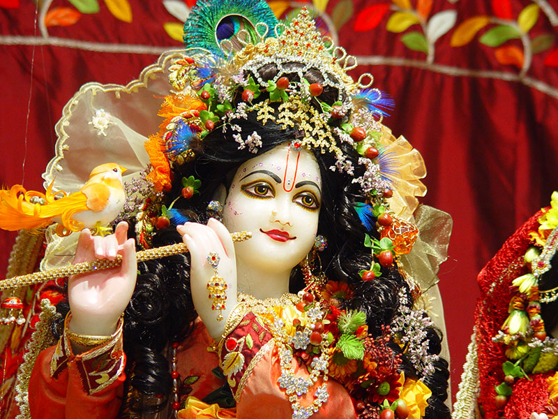 Beautiful Lord Kannan Photos from ISKCON ~ Hot Photos Hub