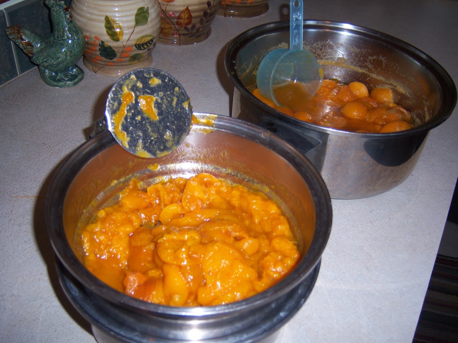 ALKALIZE AND LIVE: Apricot Puree