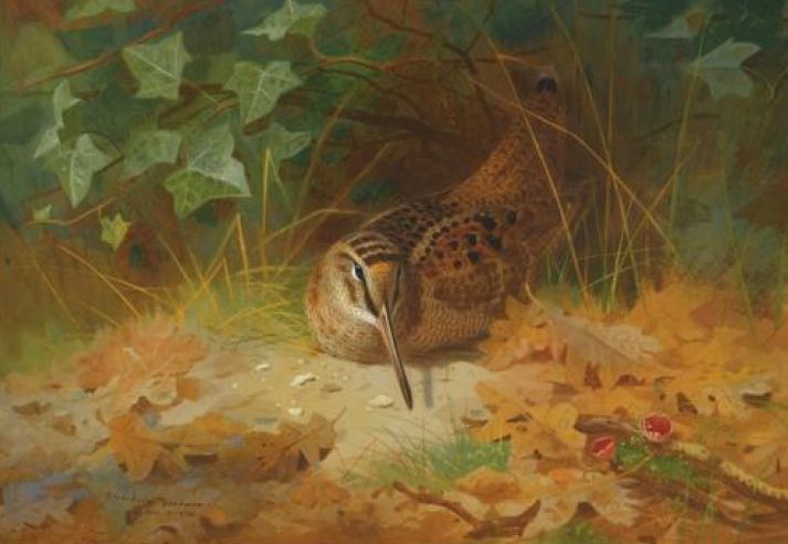 British Art: Archibald Thorburn