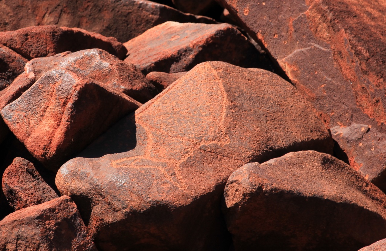 Schoers' Travels: THE PILBARA - RED ROCKS BLOOMING