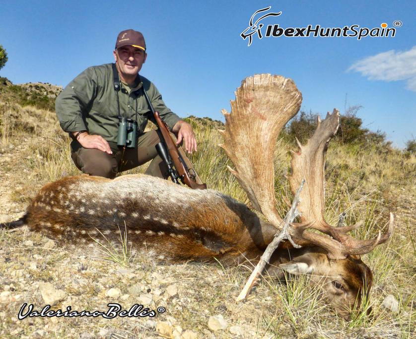 Spanish Ibex Hunts | Ibex Hunting in Spain | ibexhuntspain.com: FALLOW ...