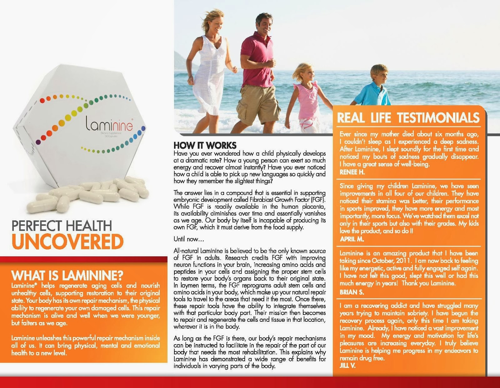 MD Corner: Start Living Healthy Today: Laminine Basic Details (Brochure ...