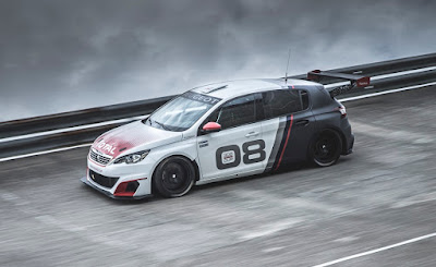 Continental Circus: TCR: Peugeot escolheu os seus pilotos