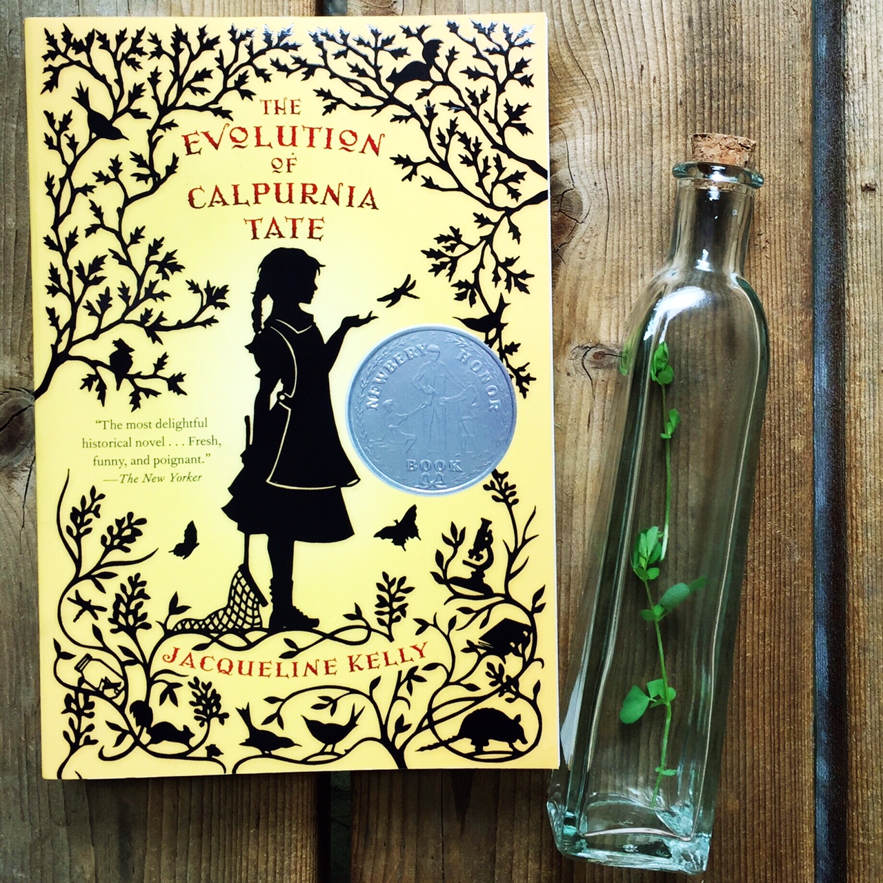 Welcome!: Haiku Review: The Evolution of Calpurnia Tate