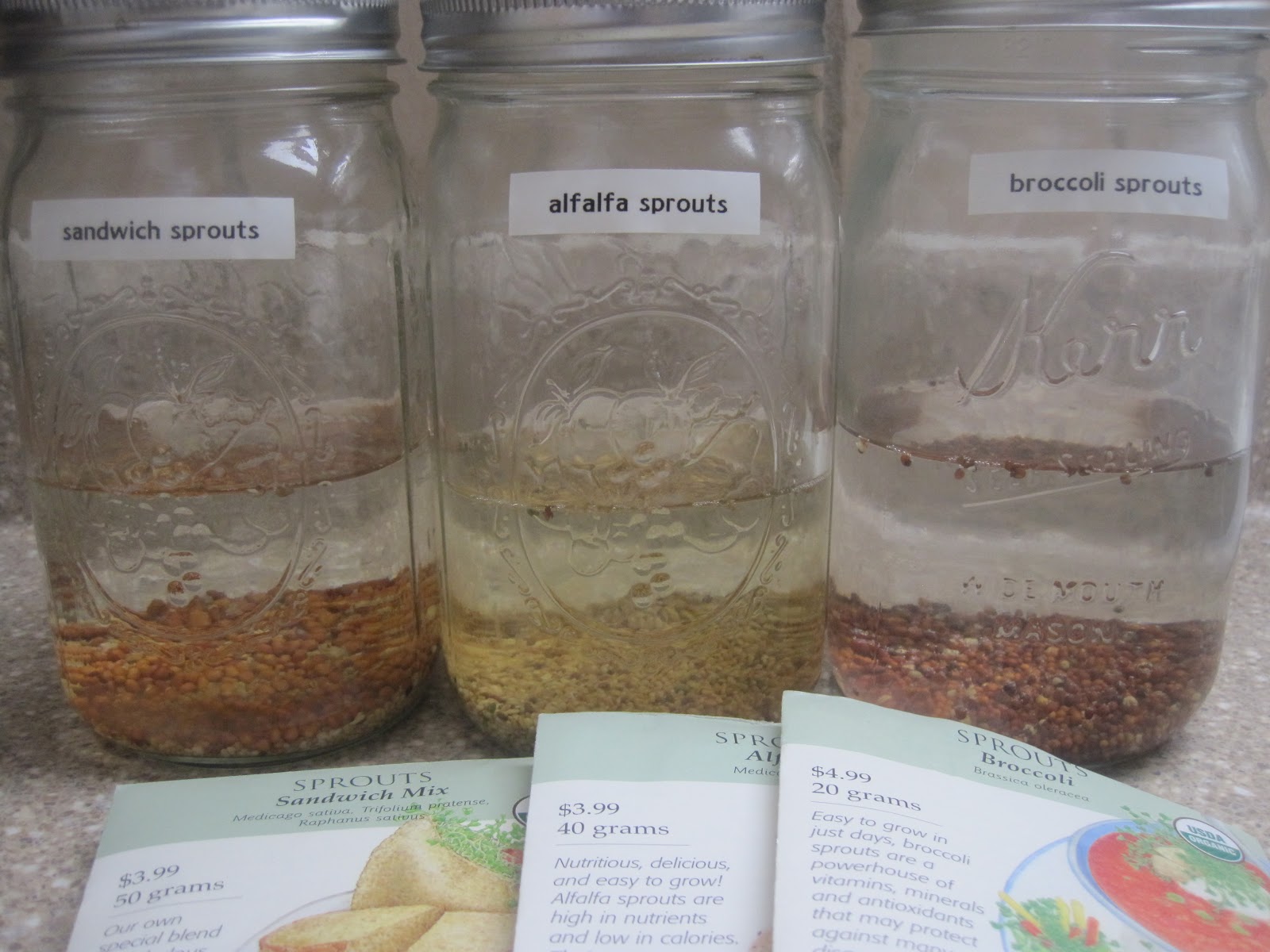 The What's For Dinner Mom: Sprouts!