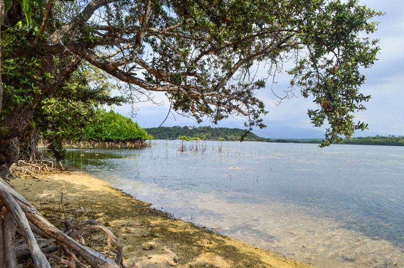 Magalawa Island - Things to Do and How to Get There | Playing Tourist