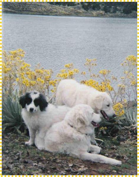 El Planeta Azul: Mérida.Venezuela