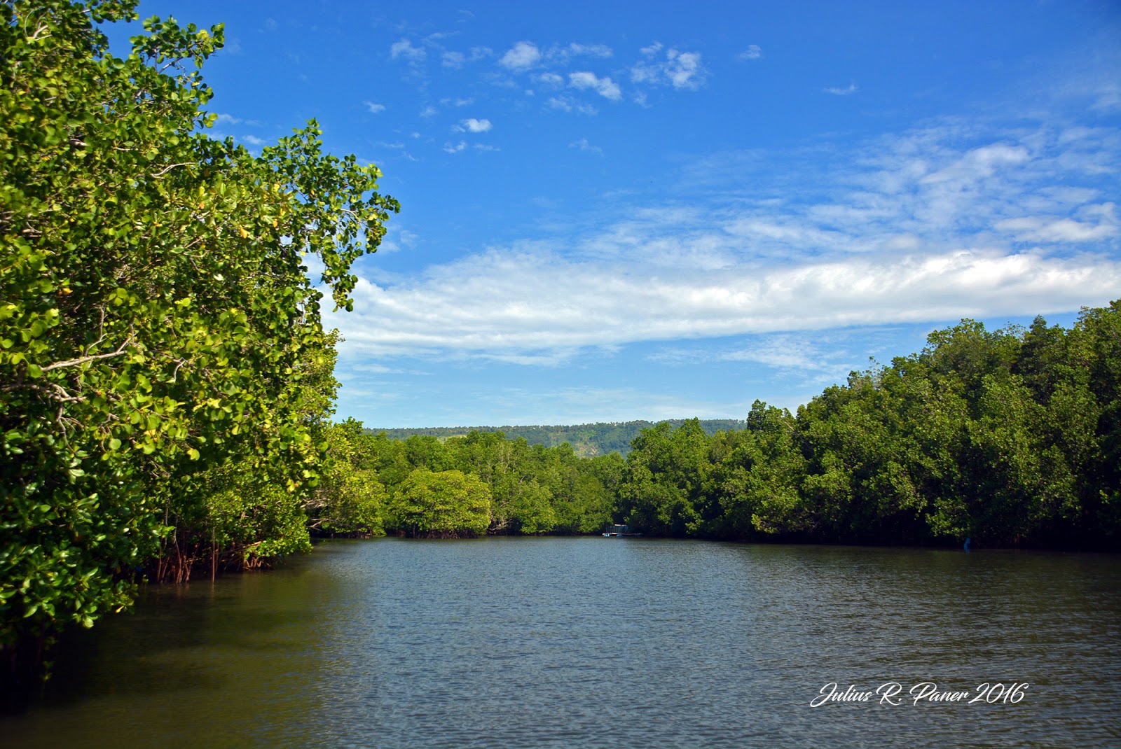 LOGSAC: Sta. Cruz Mangrove Sanctuary and Secret Islands revealed