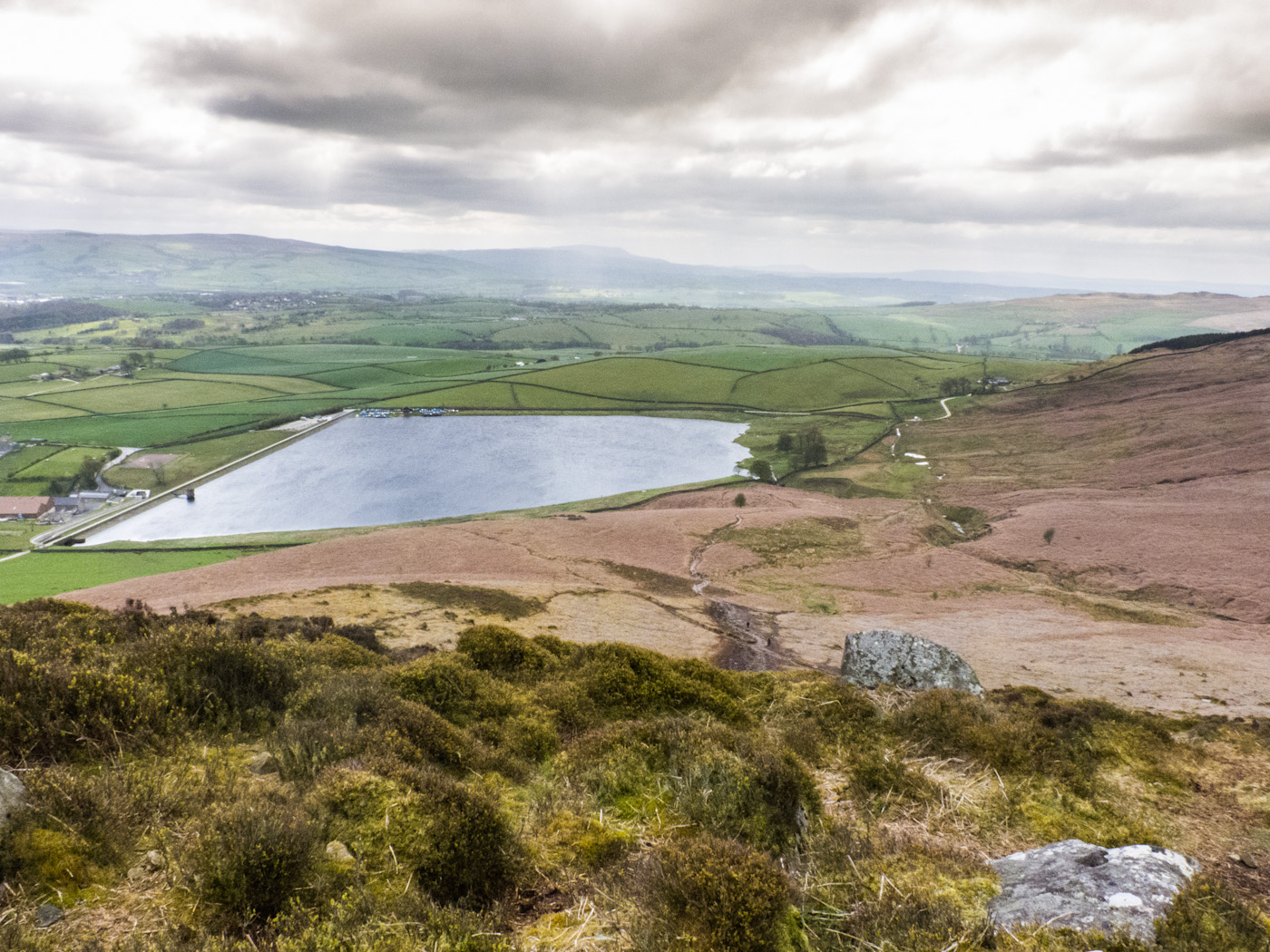 Steve's Walks: Embsay Crag Walk