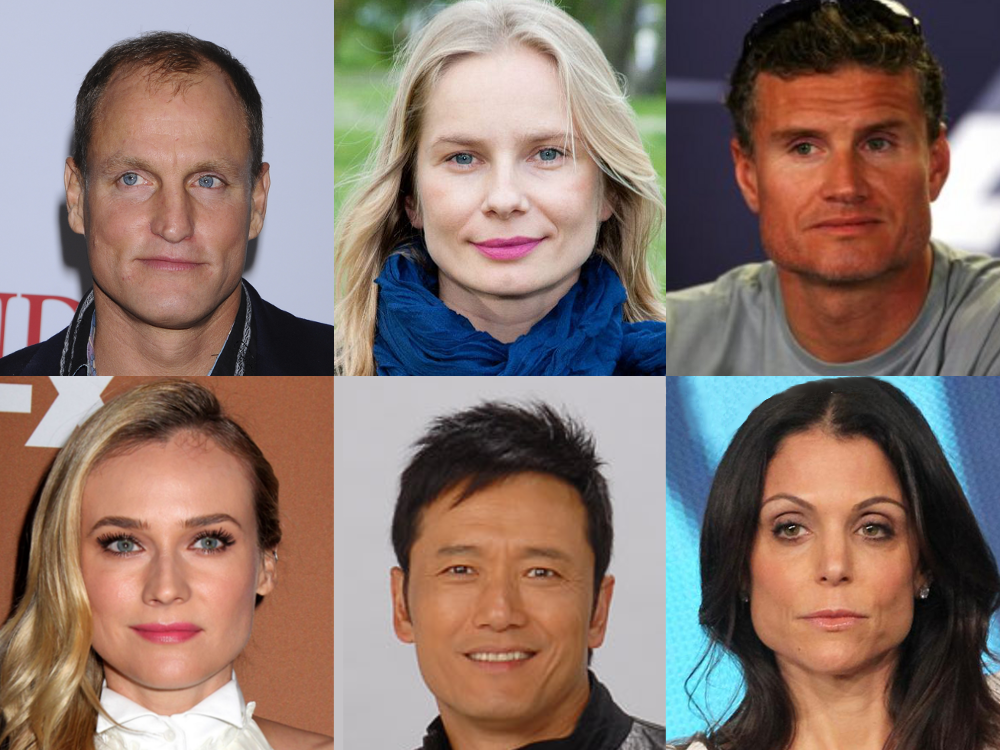 Aryan Anthropology: How many face shapes are there?