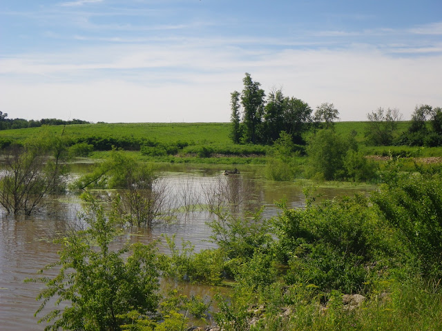 The Lost Grove Lake Mapping Project