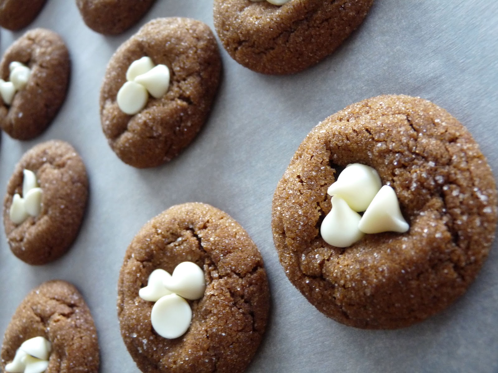 Gingerbread & White Chocolate