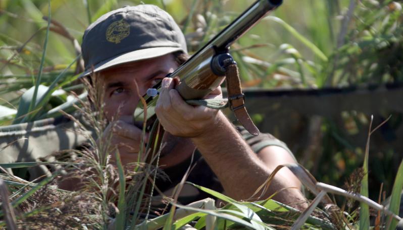 ASSOCIAZIONE ITALIANA DIFESA ANIMALI ED AMBIENTE: RITROVATI I ...