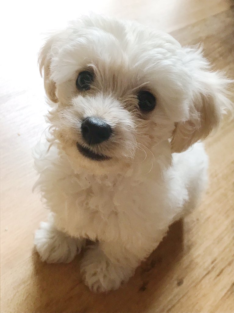 3 Photos I Loved In April | Food and Other Loves