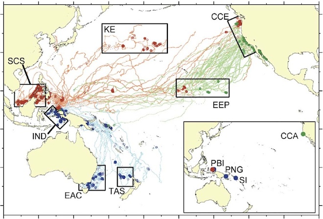 The Biology Blog: Sea Turtle GPS Shows Ocean-Spanning Leatherback Buffet