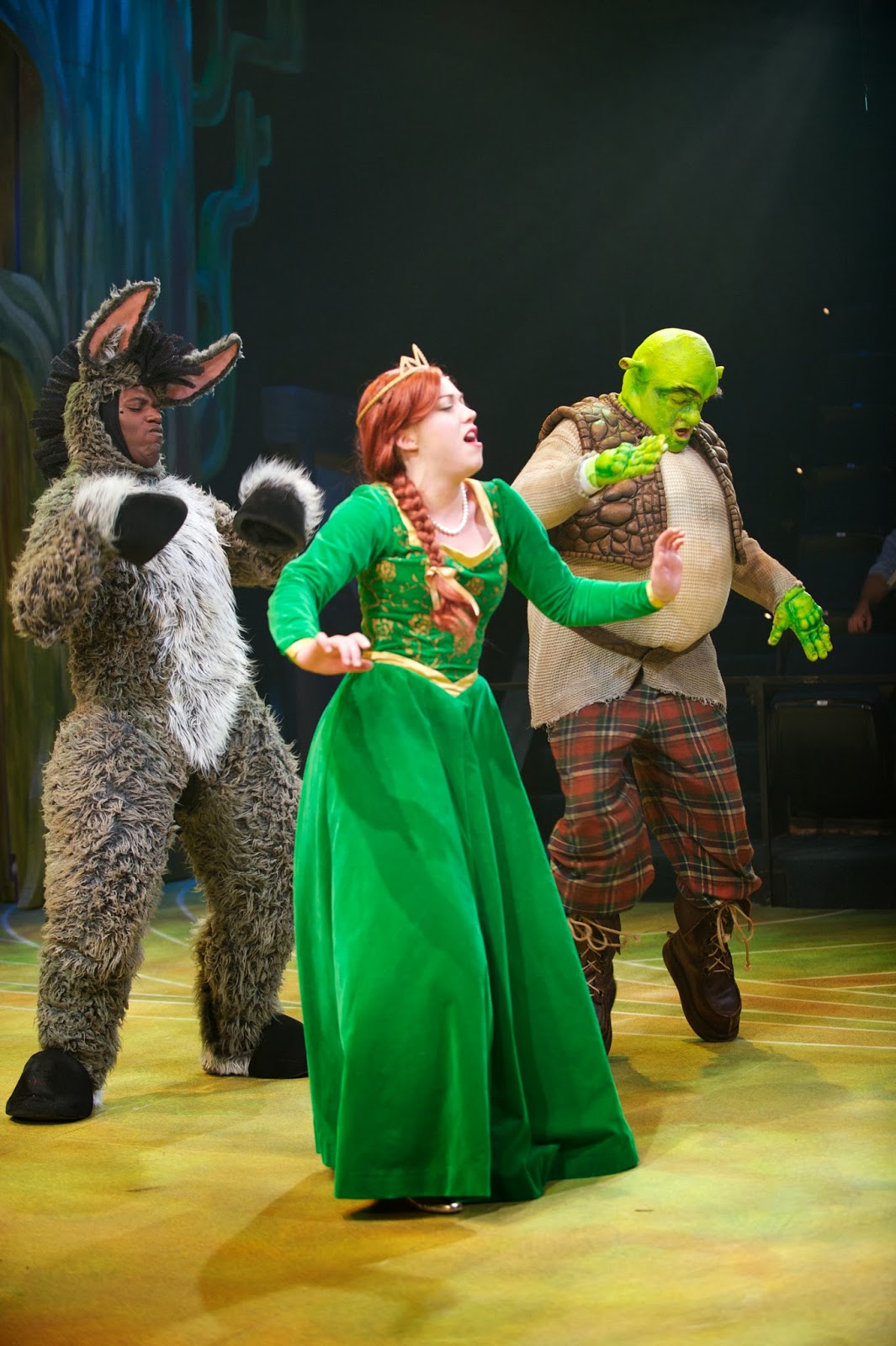 Shrek The Musical Teen Fiona